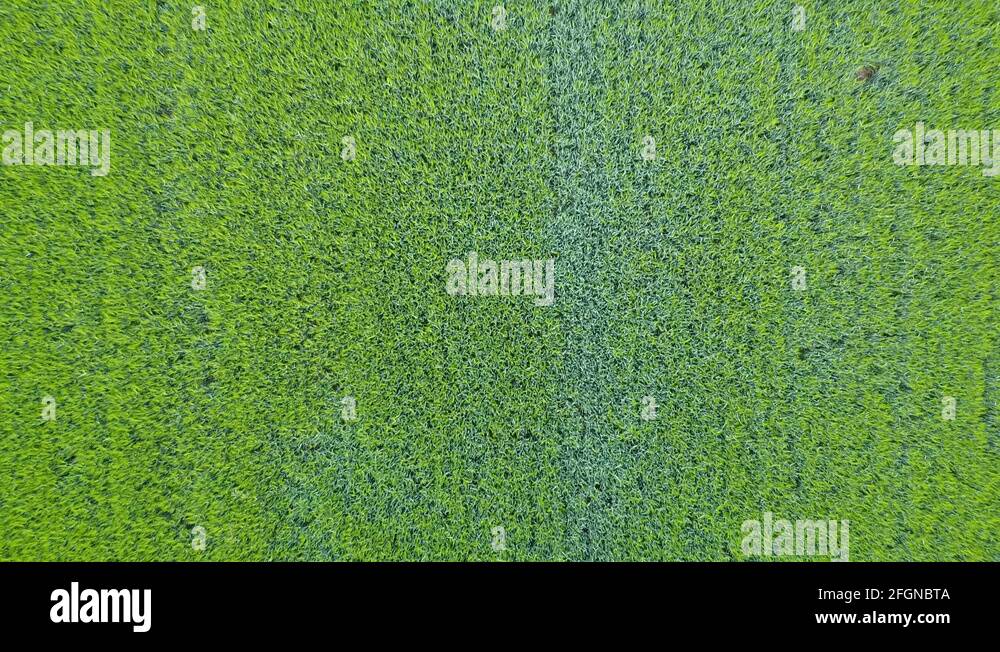 Vertical down shot Stock Videos & Footage - HD and 4K Video Clips - Alamy