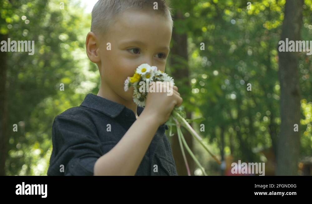 Tickling nose Stock Videos & Footage - HD and 4K Video Clips - Alamy