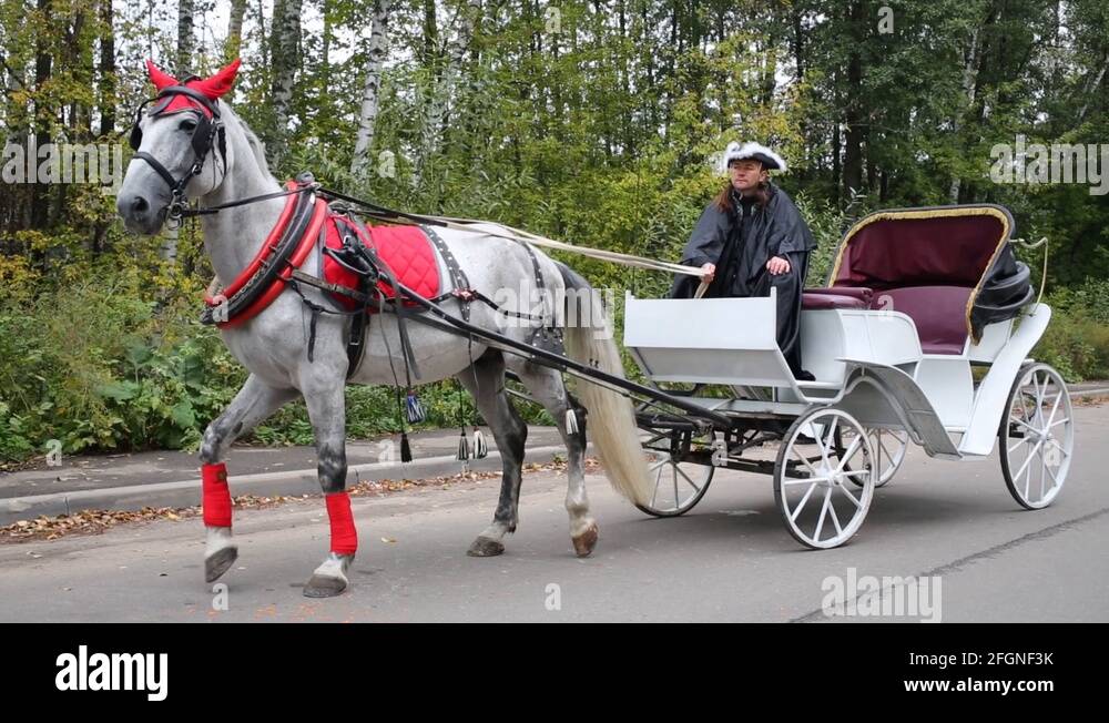 Horses carriage Stock Videos & Footage - HD and 4K Video Clips - Alamy