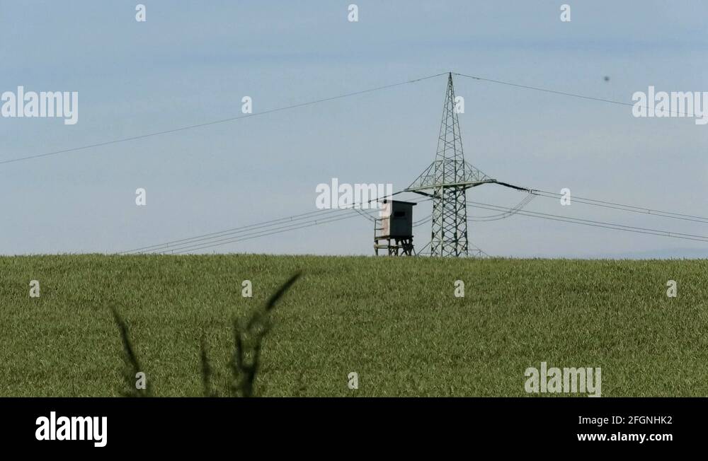 Powerpylons Stock Videos & Footage - HD and 4K Video Clips - Alamy