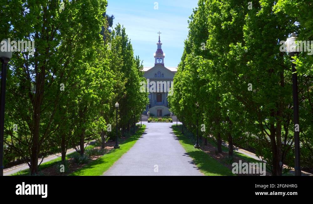 Path street tree Stock Videos & Footage - HD and 4K Video Clips - Alamy