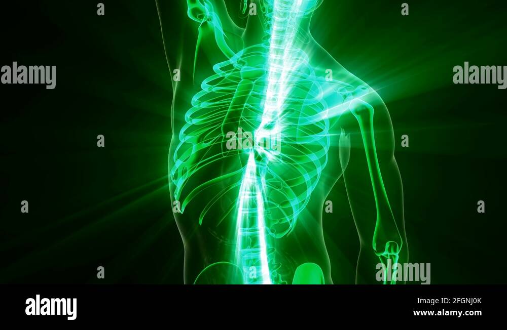 science anatomy of human body in x-ray with glow skeleton bones Stock ...