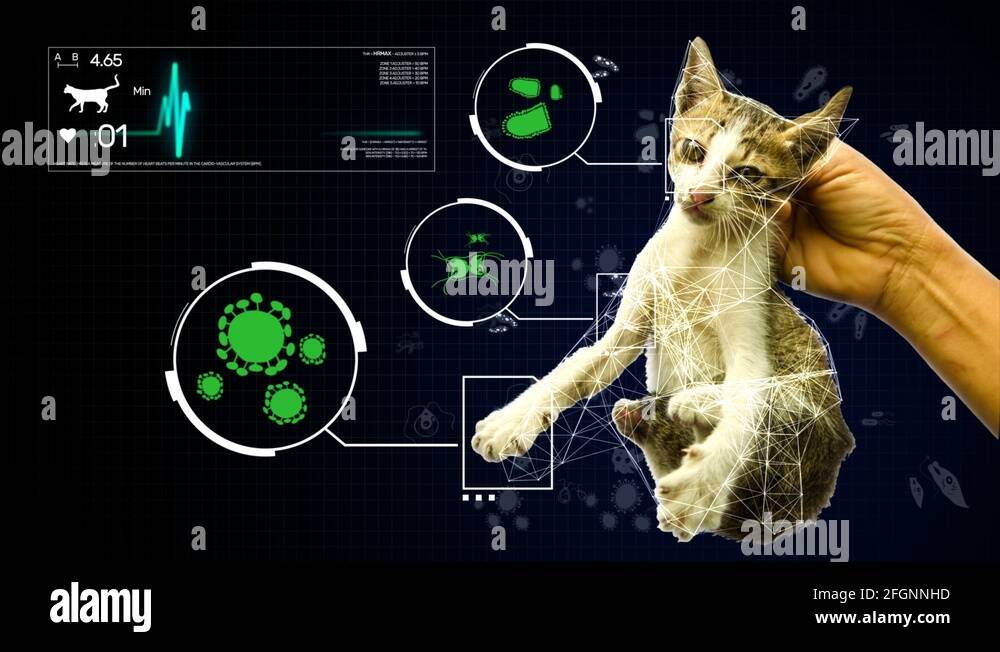 Pathogen germ Stock Videos & Footage - HD and 4K Video Clips - Alamy