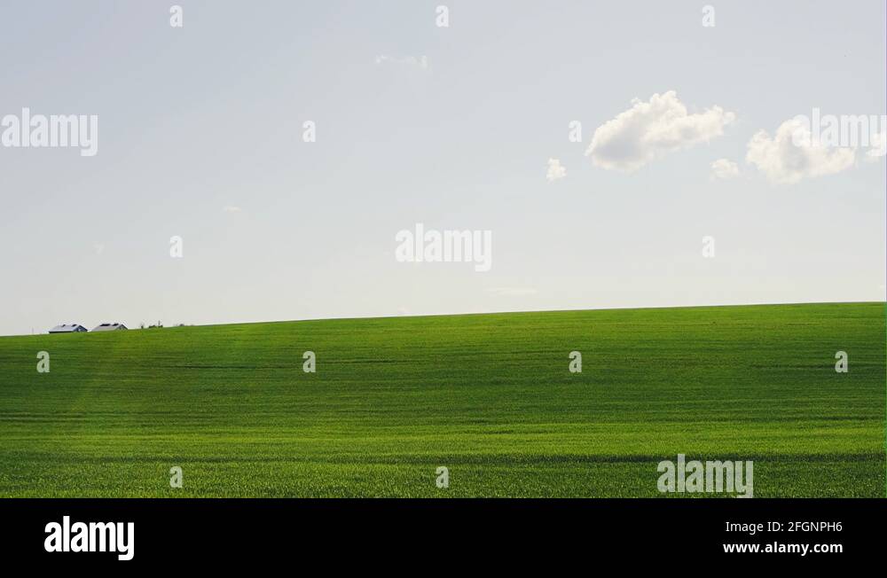 Blue sky green grass view Stock Videos & Footage - HD and 4K Video ...