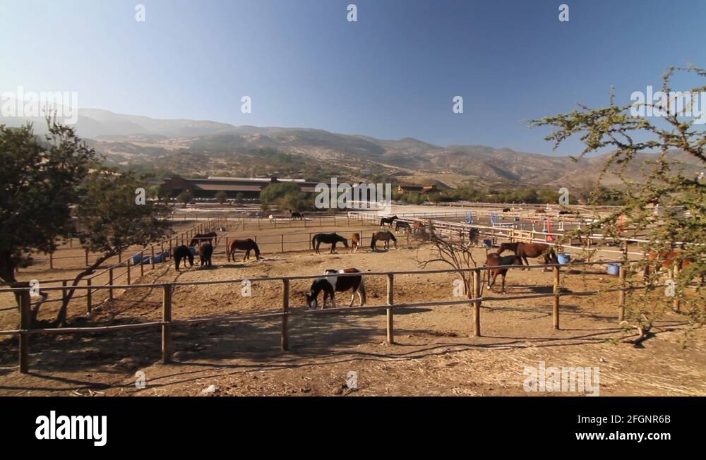 Horse stable landscape Stock Videos & Footage - HD and 4K Video Clips ...