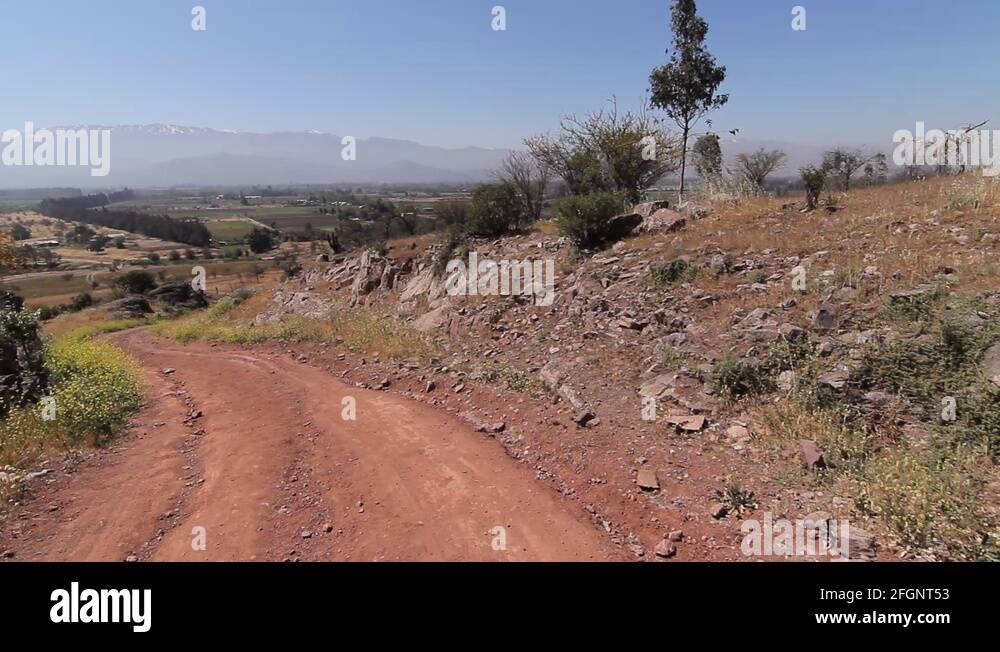 Deep south america trees road Stock Videos & Footage - HD and 4K Video ...