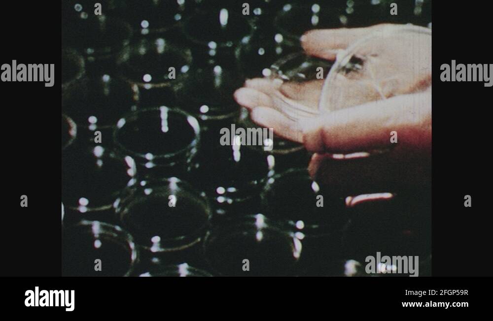 1950s: Hand hold petri dish, specimen in petri dish, lab equipment Hand ...