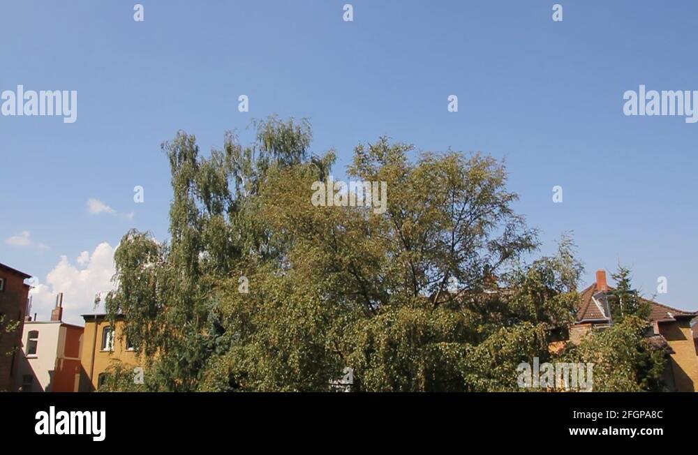 City backstreet Stock Videos & Footage - HD and 4K Video Clips - Alamy