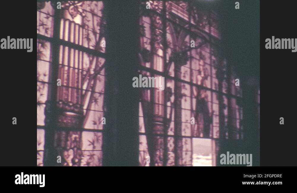 Stained sections Stock Videos & Footage - HD and 4K Video Clips - Alamy