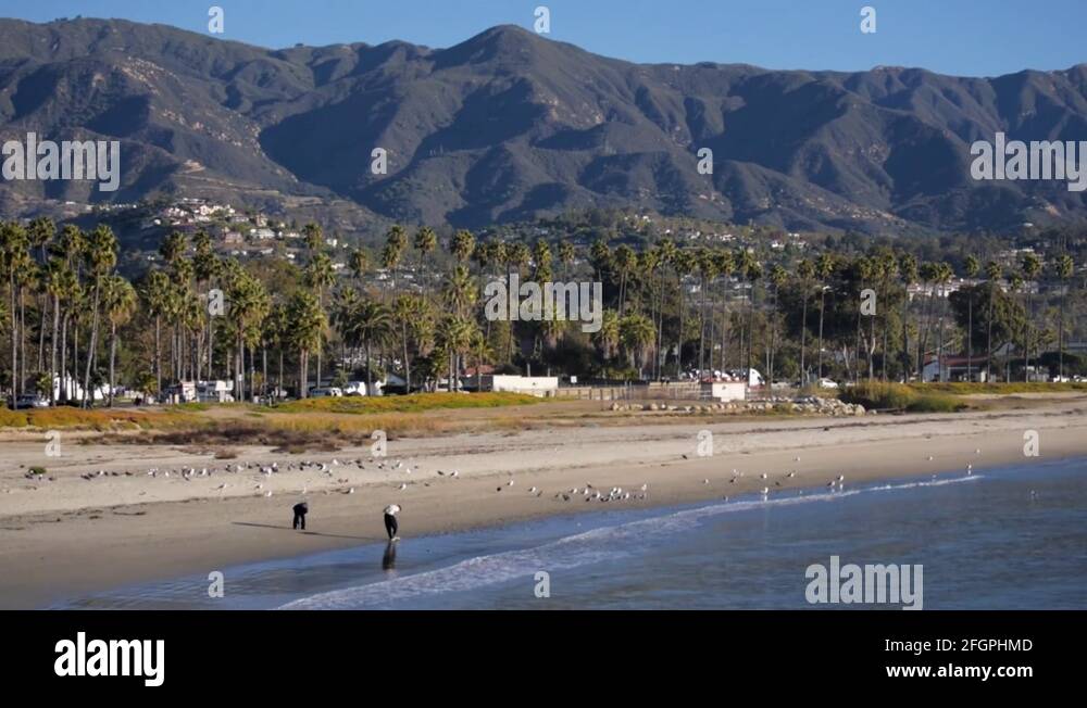 Mountains palm trees beach Stock Videos & Footage - HD and 4K Video ...