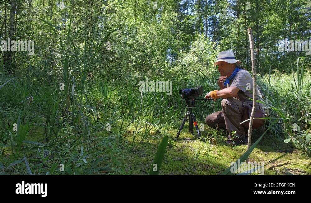 Videographer on swamp: Mature man in hat is drinking water from bottle ...