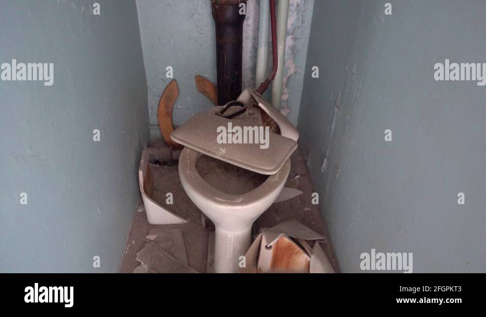 Domestic water closet Stock Videos & Footage - HD and 4K Video Clips ...
