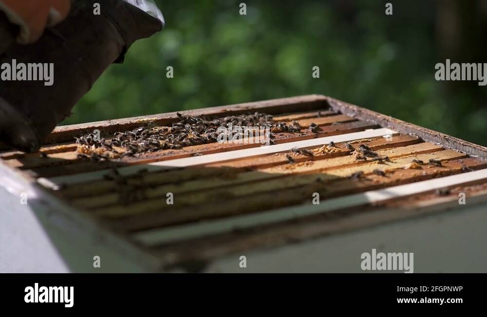 Beehive chimney Stock Videos & Footage - HD and 4K Video Clips - Alamy