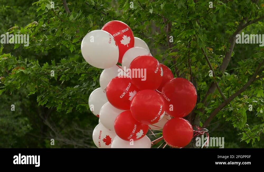 Balloons in tree Stock Videos & Footage - HD and 4K Video Clips - Alamy