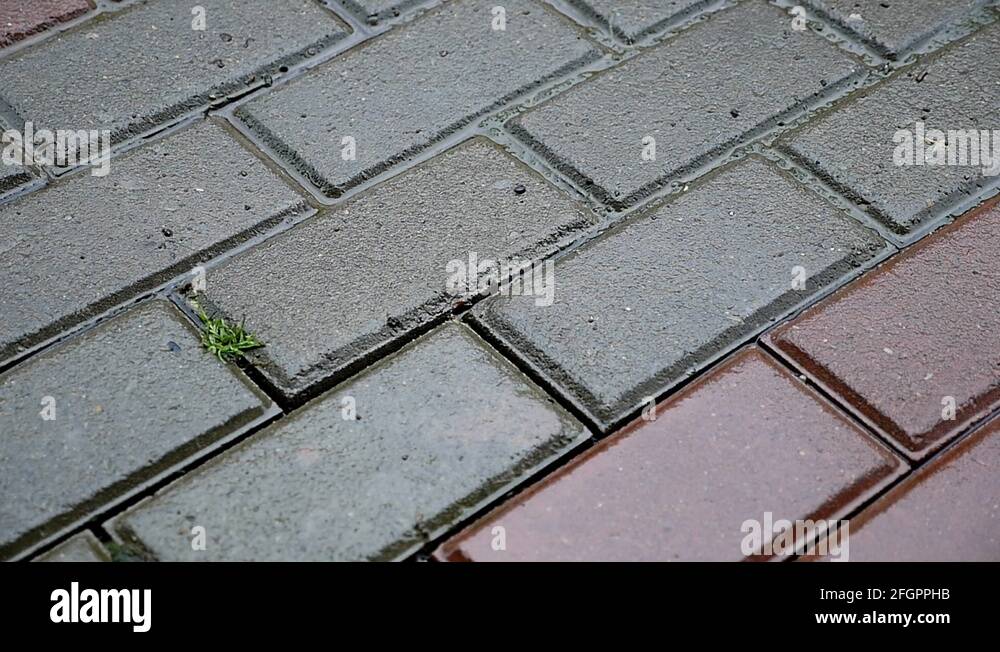 Clay tile pavement Stock Videos & Footage - HD and 4K Video Clips - Alamy