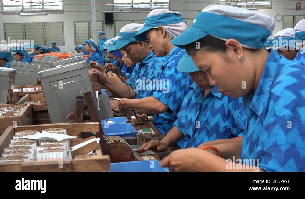 Cigarette production process Stock Videos & Footage - HD and 4K Video ...