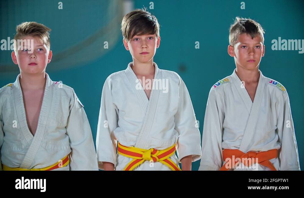 Judo class for kids Stock Videos & Footage - HD and 4K Video Clips - Alamy