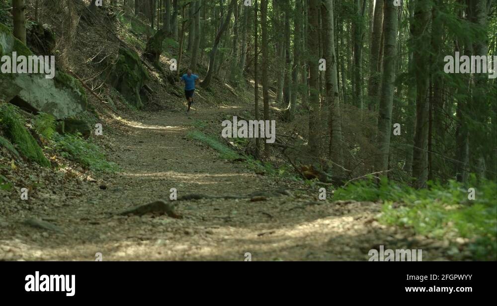 Mountain trekking man running down the forest path (S-log2 Stock Video ...