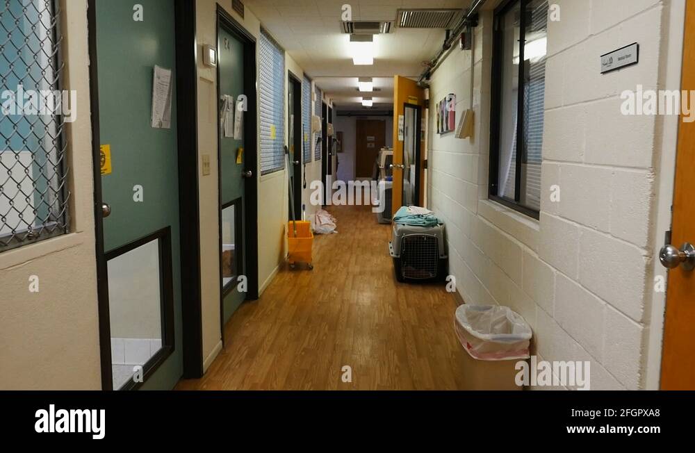 Shelter hall Stock Videos & Footage - HD and 4K Video Clips - Alamy