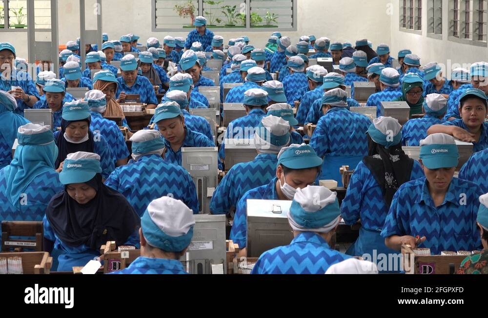 Cigarette production manufacturing Stock Videos & Footage - HD and 4K ...