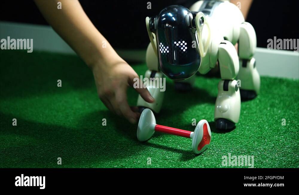 Toy robot cutout Stock Videos & Footage - HD and 4K Video Clips - Alamy