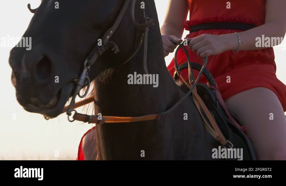 Young girl wearing long red dress riding black horse in countryside ...