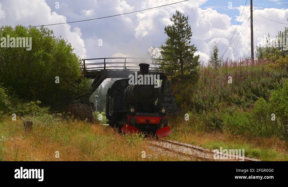 steam locomotive passing under old bridge hauling old wagons nostalgic ...