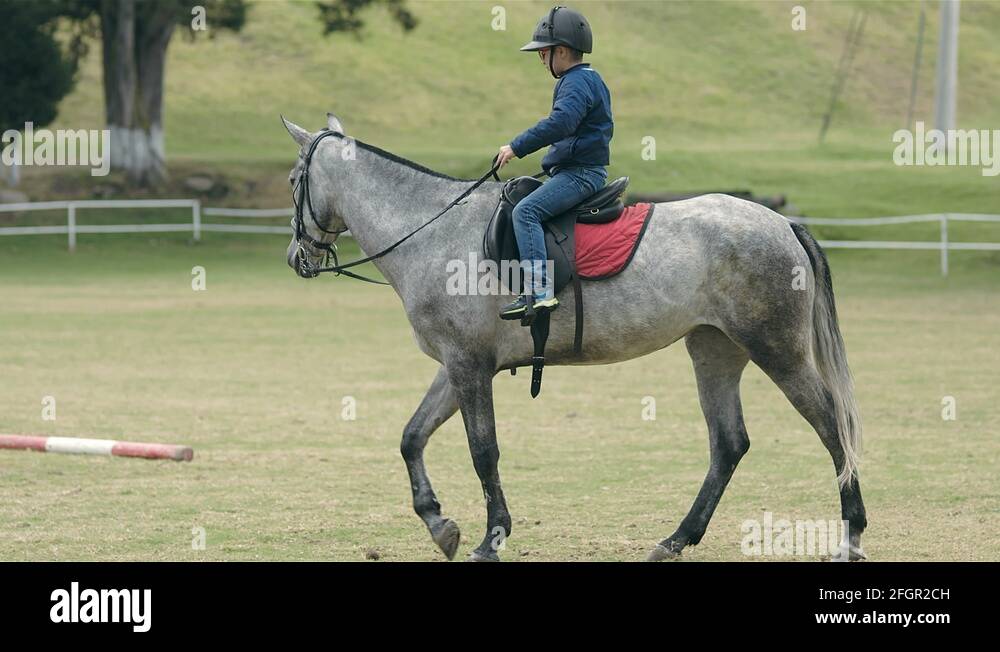 Boy riding horse Stock Videos & Footage - HD and 4K Video Clips - Alamy