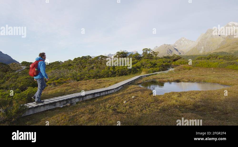 Track fiordland national park Stock Videos & Footage - HD and 4K Video ...