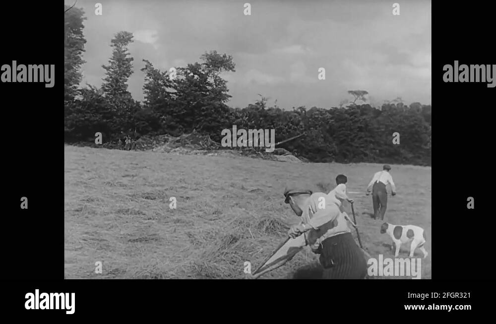 Ww2 field gun Stock Videos & Footage - HD and 4K Video Clips - Alamy