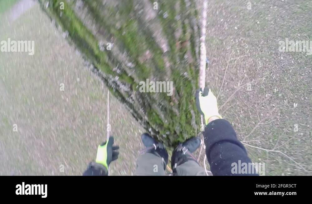 Tree climbing safety harness Stock Videos & Footage - HD and 4K Video ...
