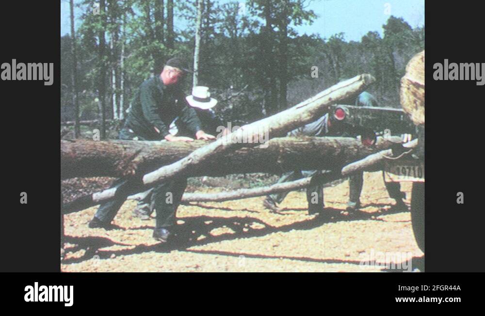 Timber tractor Stock Videos & Footage - HD and 4K Video Clips - Alamy