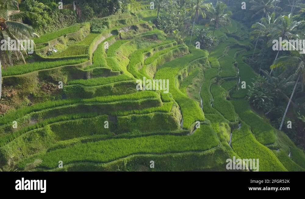 Stepped slope Stock Videos & Footage - HD and 4K Video Clips - Alamy