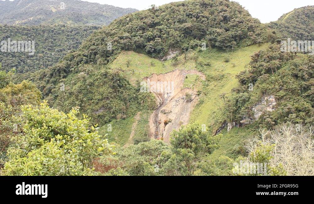 Deforestation rainforest erosion Stock Videos & Footage - HD and 4K ...