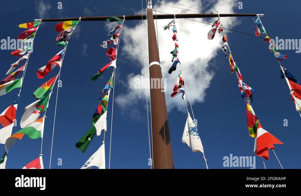 Flags world tree Stock Videos & Footage - HD and 4K Video Clips - Alamy