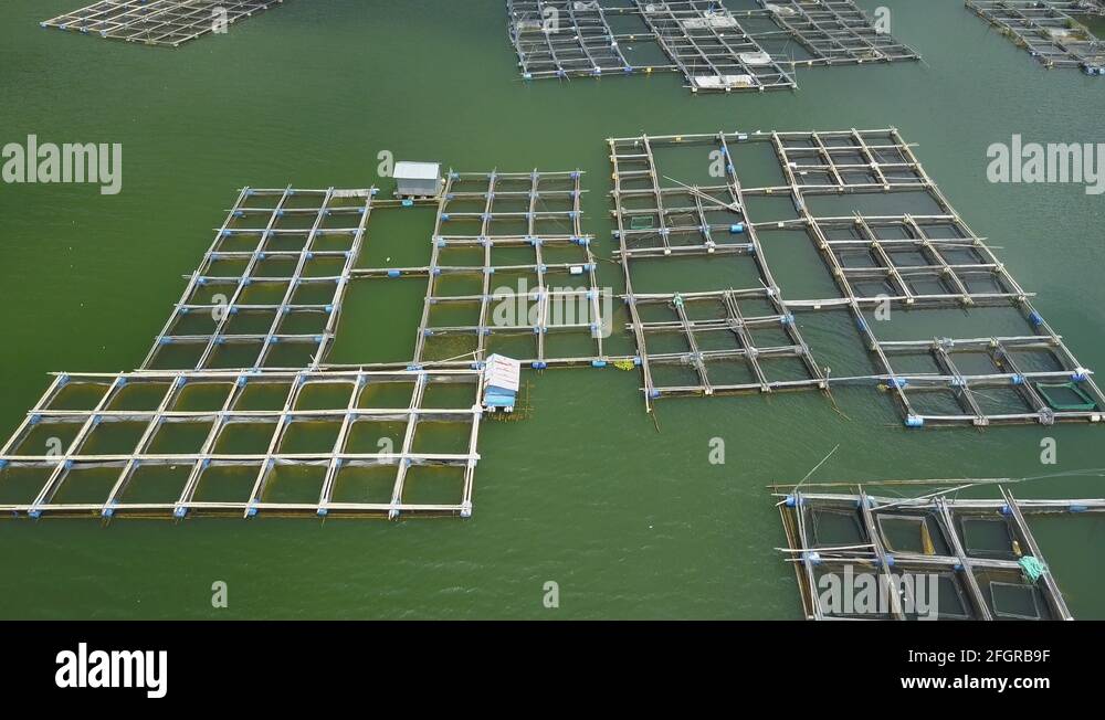 Traditional fish cages Stock Videos & Footage - HD and 4K Video Clips ...