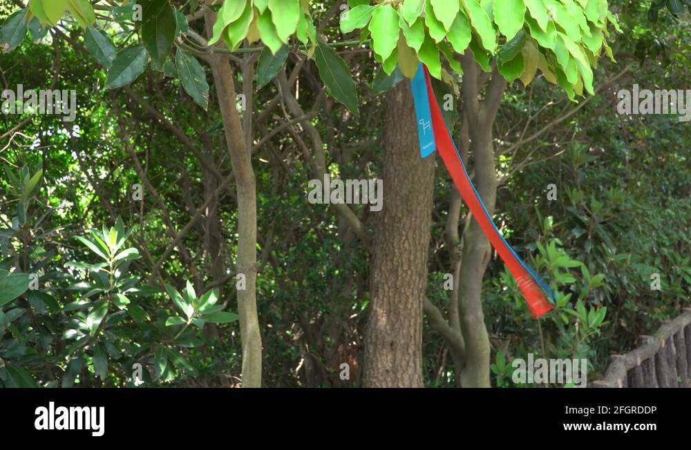 Pathway marker Stock Videos & Footage - HD and 4K Video Clips - Alamy