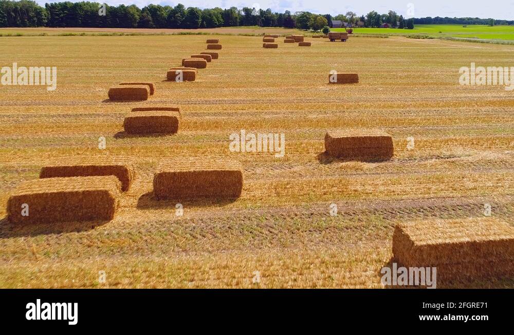 Old hay wagon Stock Videos & Footage - HD and 4K Video Clips - Alamy