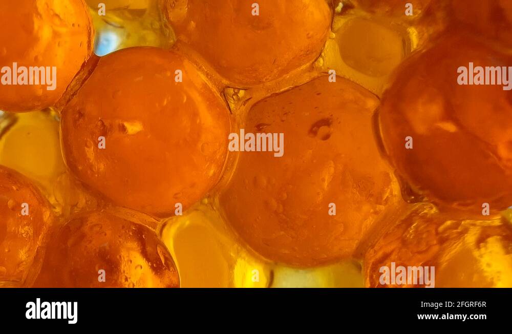 Fish egg Stock Videos & Footage - HD and 4K Video Clips - Alamy