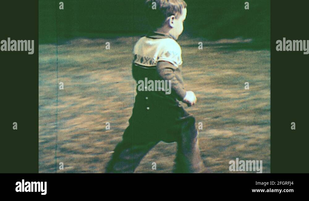 Balsa tree Stock Videos & Footage - HD and 4K Video Clips - Alamy