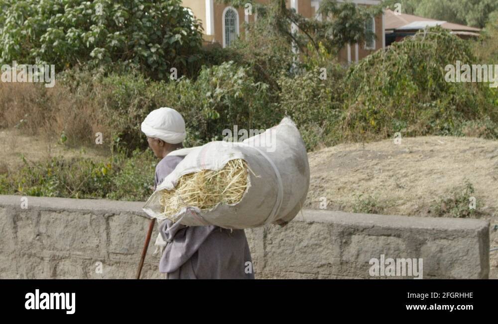 Man carrying goods Stock Videos & Footage - HD and 4K Video Clips - Alamy