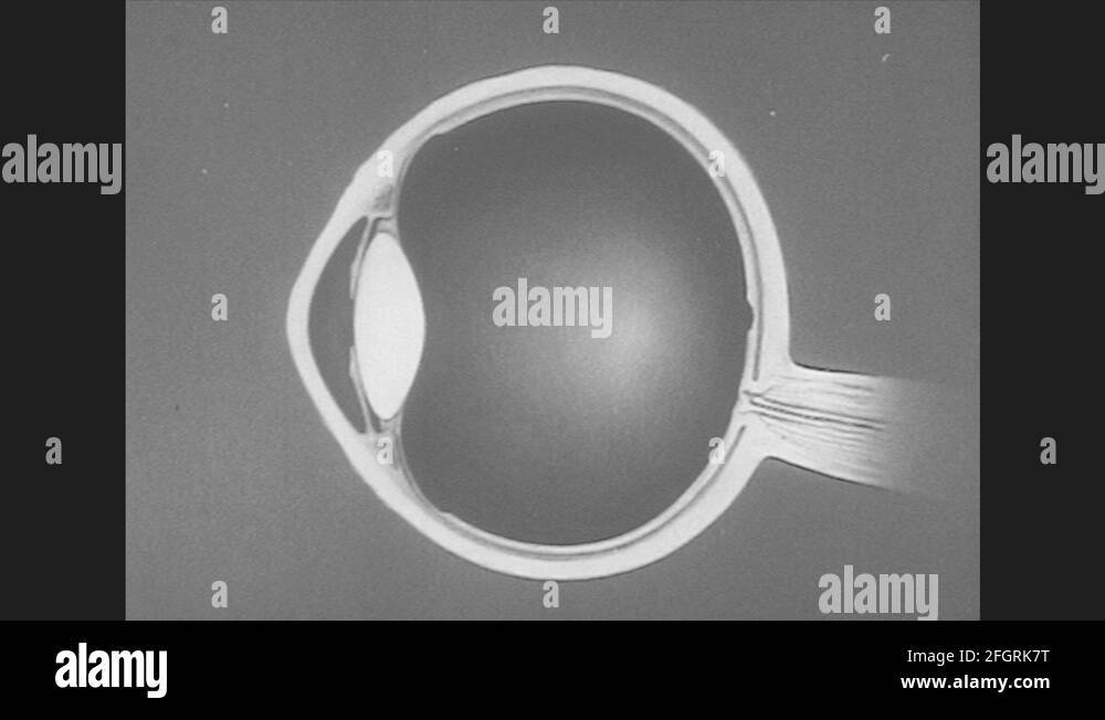 Eye light diagram Stock Videos & Footage - HD and 4K Video Clips - Alamy