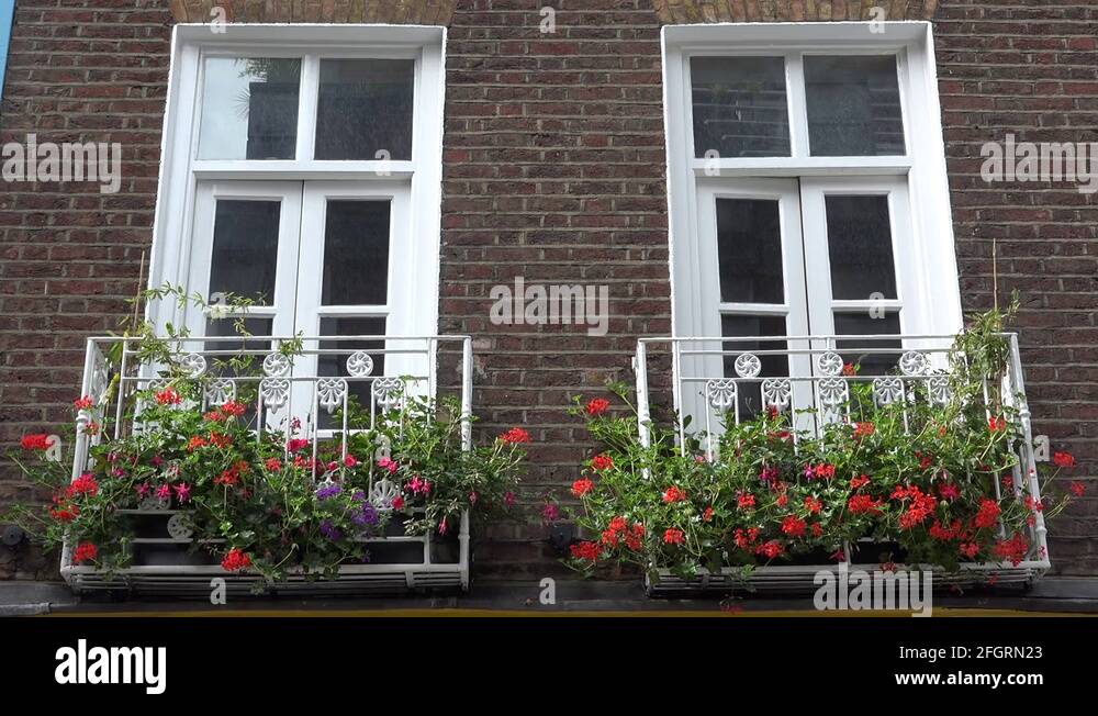 Ornamental bricks Stock Videos & Footage - HD and 4K Video Clips - Alamy