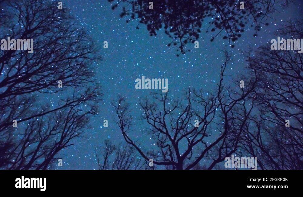 North star trail Stock Videos & Footage - HD and 4K Video Clips - Alamy