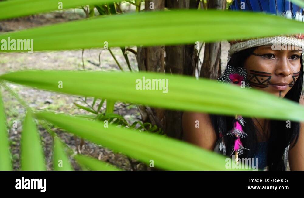 Beautiful Native Woman in a Indigenous Tribe in Brazil Stock Video ...