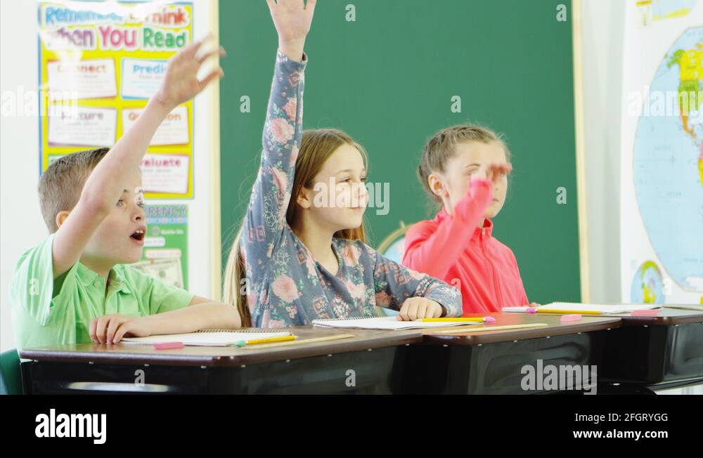 Students raising hands in classroom Stock Videos & Footage - HD and 4K ...