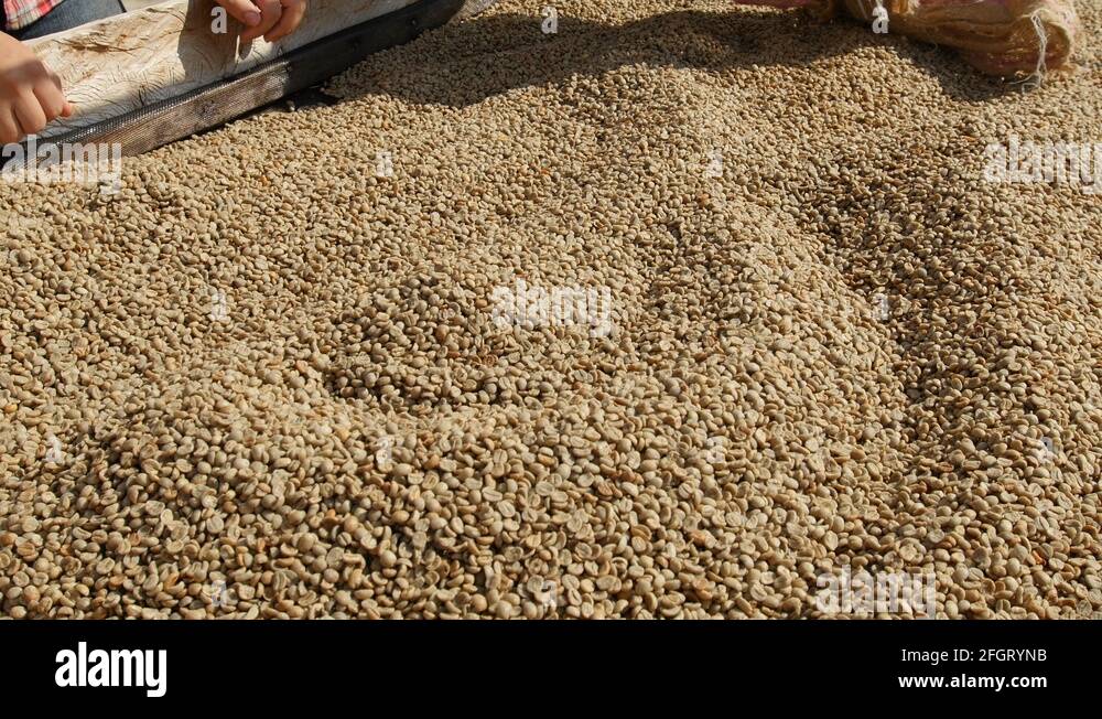 Filling coffee Stock Videos & Footage - HD and 4K Video Clips - Alamy