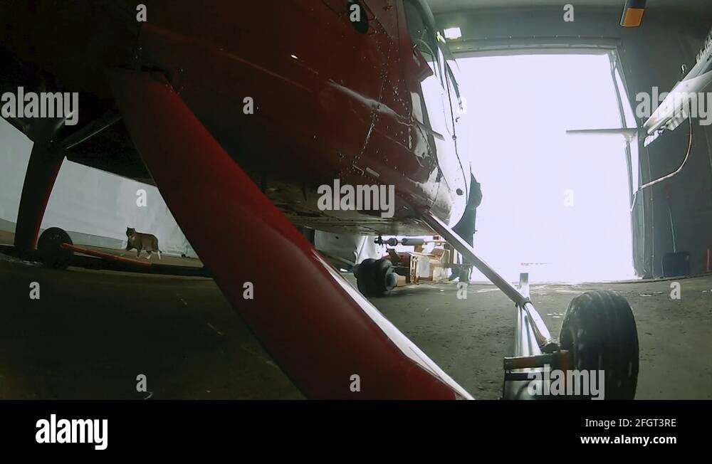 Chopper spotter Stock Videos & Footage - HD and 4K Video Clips - Alamy