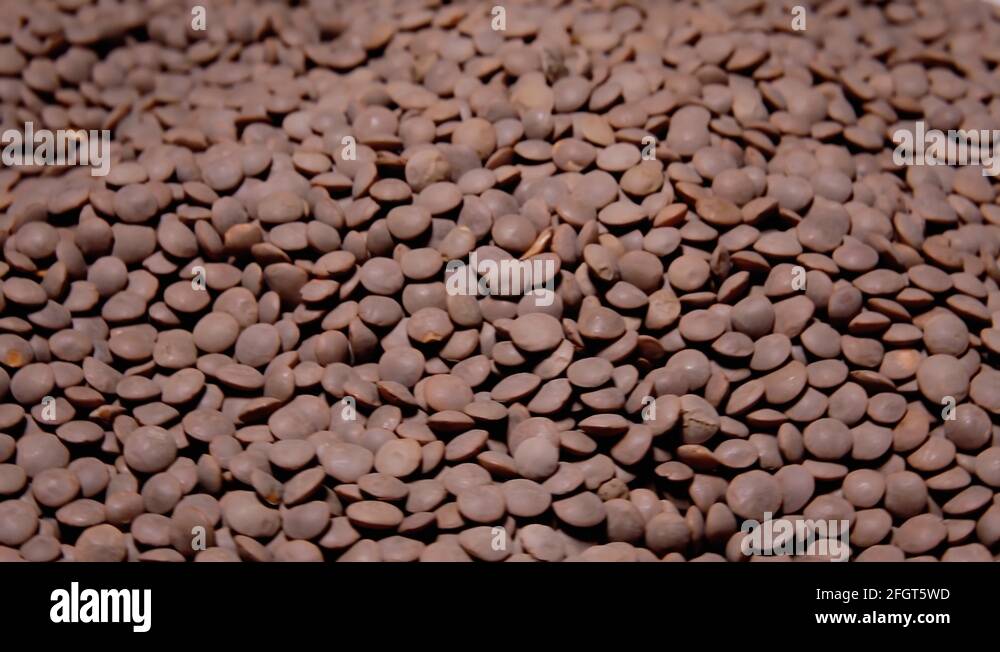Lens shaped seeds Stock Videos & Footage - HD and 4K Video Clips - Alamy
