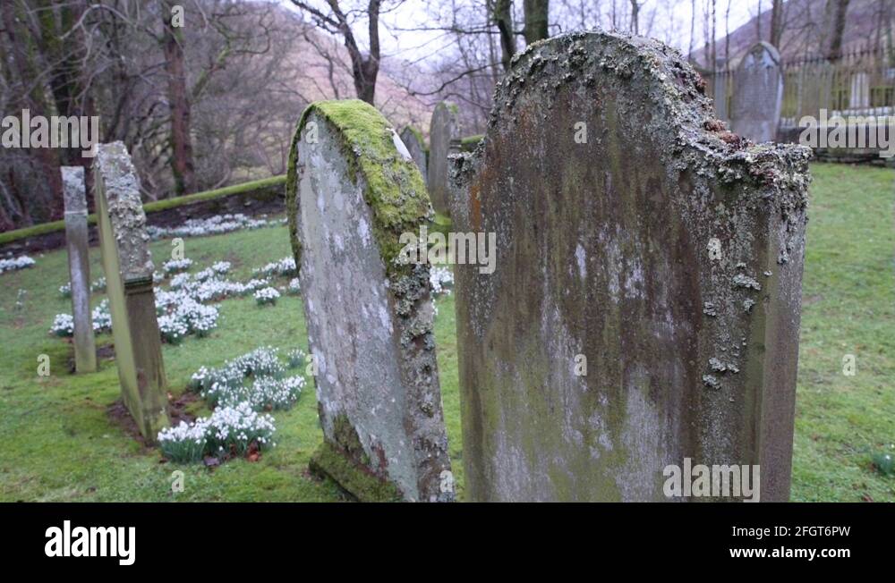 Gothic graveyard Stock Videos & Footage - HD and 4K Video Clips - Alamy